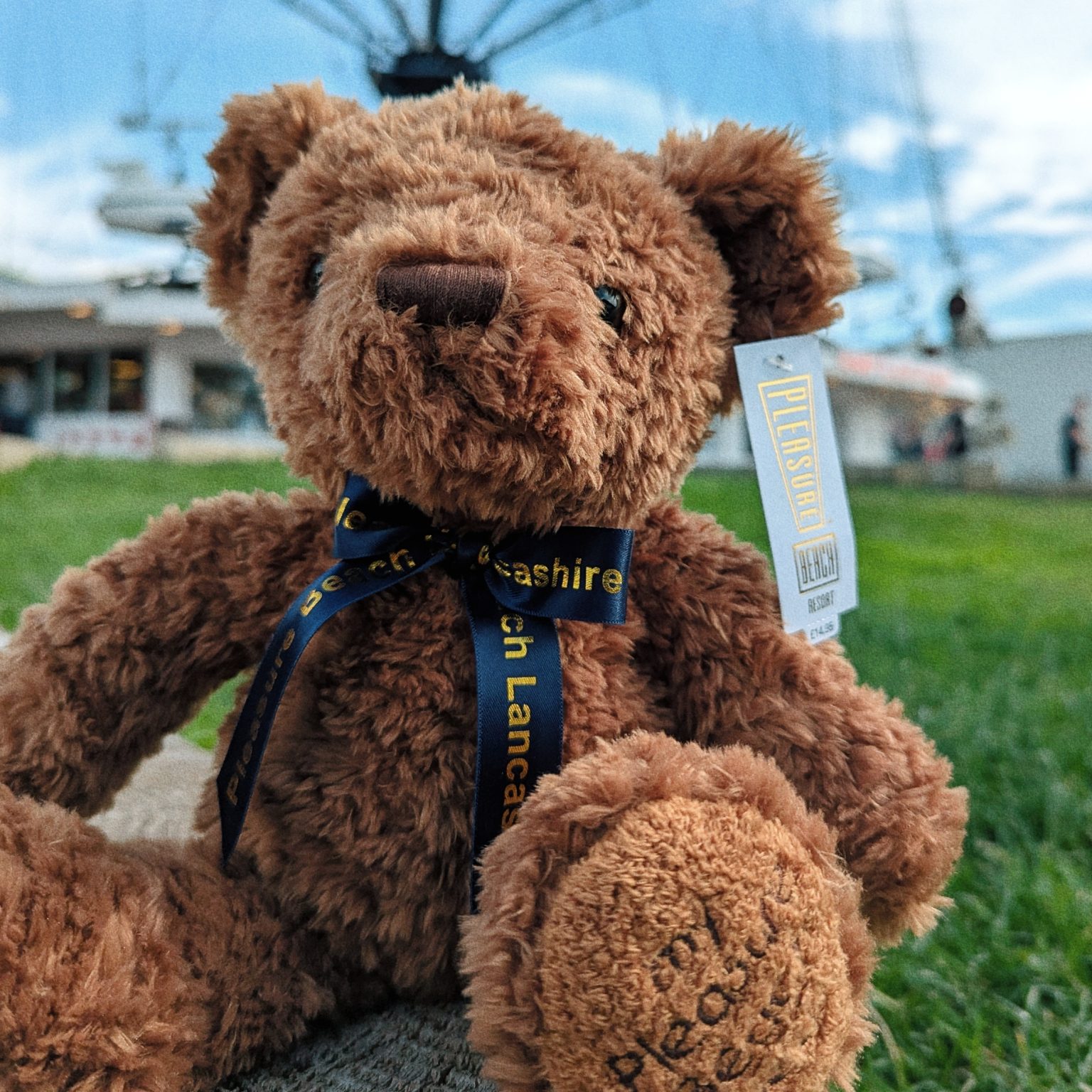 Pleasure Beach Cuddly Bear – Pleasure Beach Resort Retail Shop