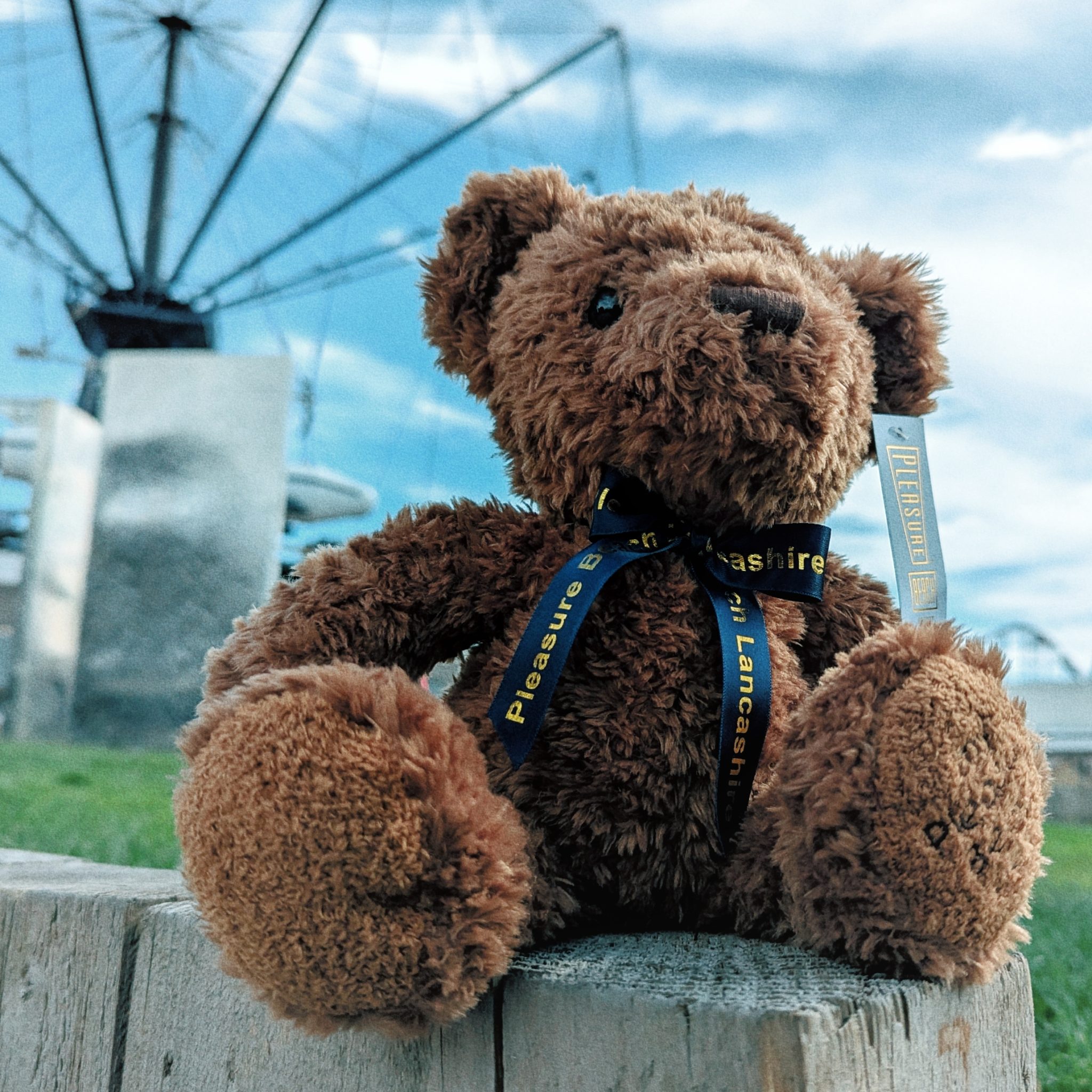 Pleasure Beach Lancashire Plush Bear – Blackpool Pleasure Beach Retail Shop